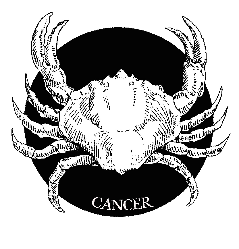 ムーン・リーの12星座占い【今週の星のメッセージ／2月3日－2月9日】 - 蟹座 - 拡大写真｜Infoseekニュース