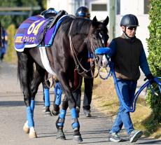 【ジャパンC】ドゥレッツァがレース当日に疾病で出走取消 2023年の菊花賞馬で昨年は2着同着 - トピックス｜Infoseekニュース