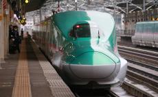 東北新幹線、白鳥”乱入”で遅延…SNS「やさしい世界」とほっこり 鉄道マニアは「在来線特急の仕返しか？」とツッコミ - トピックス｜Infoseekニュース