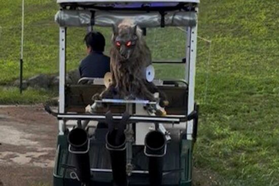 クマ対策にオオカミ！「見た目が怖い」赤目の“モンスターウルフ”に問い合わせ殺到、全国で330台が稼働 - トピックス｜Infoseekニュース