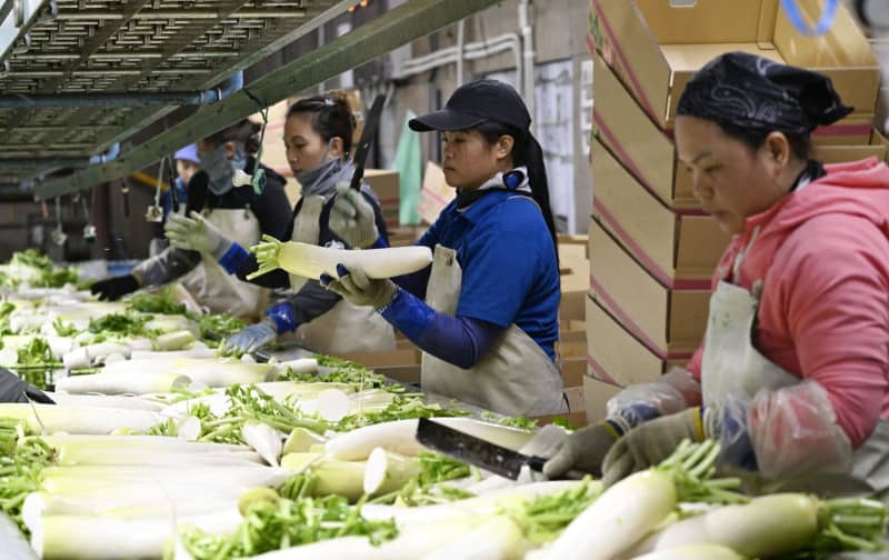 【独自】外国人、10道県10年で2倍超 熊本トップ、北海道、鹿児島、沖縄が続く - トピックス｜Infoseekニュース