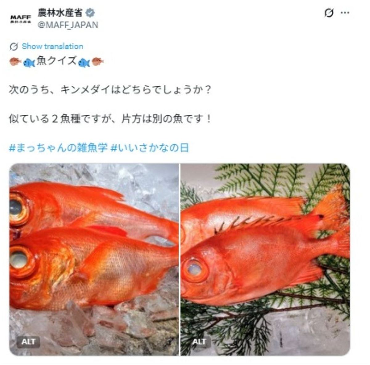 農林水産省「魚クイズ」にSNS「むずかしい問題」 キンメダイはどちら？ 鈴木大臣も参加「さすが！」 - トピックス｜Infoseekニュース
